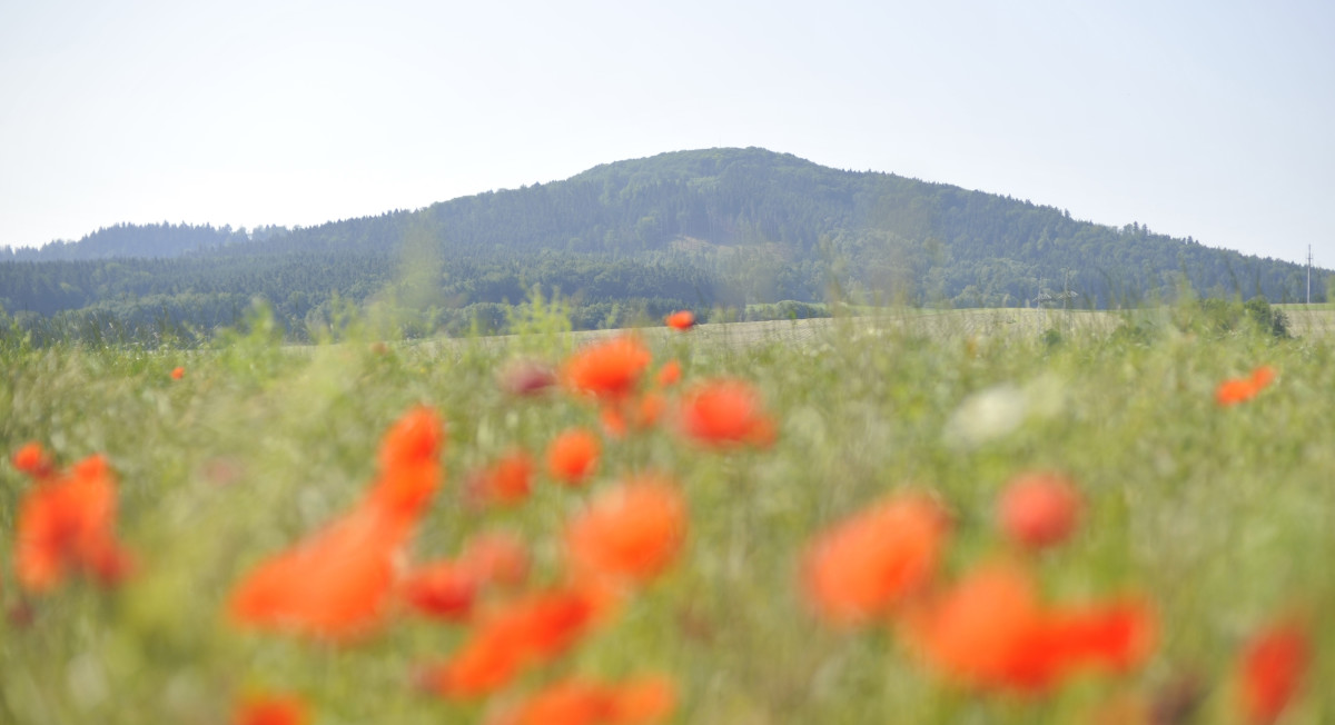 Radtour rund um den Moritzberg - N-LAND