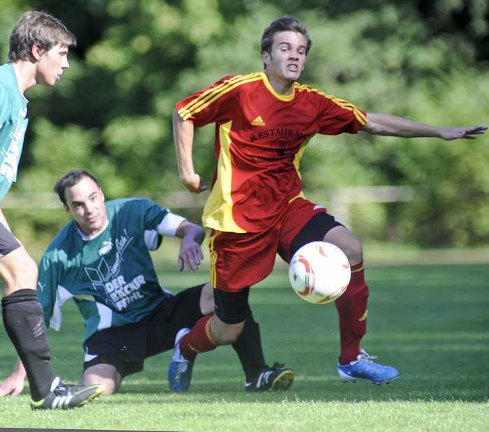Die Pöllinger überlistet - N-LAND