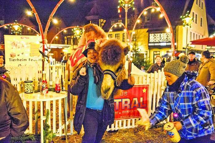 Am Ende ging‘s tierisch rund - N-LAND