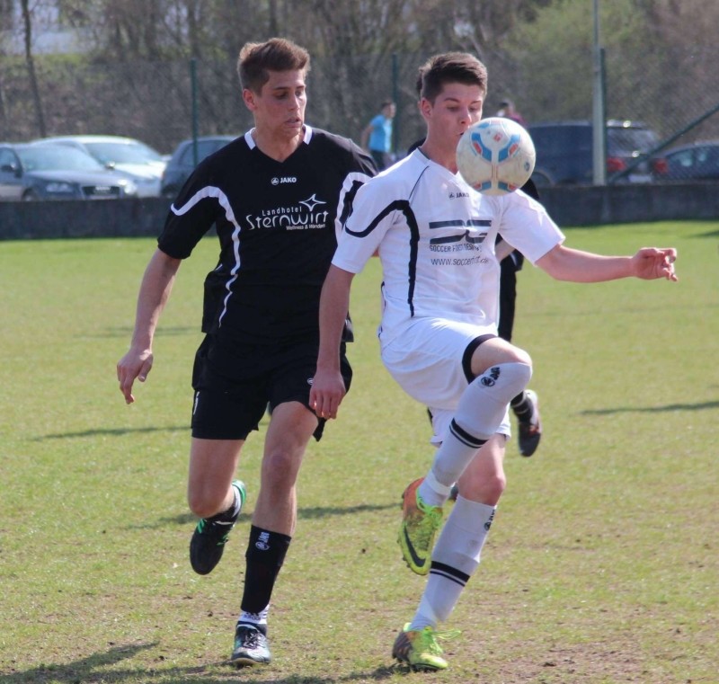 Alfalter in Torlaune - N-LAND