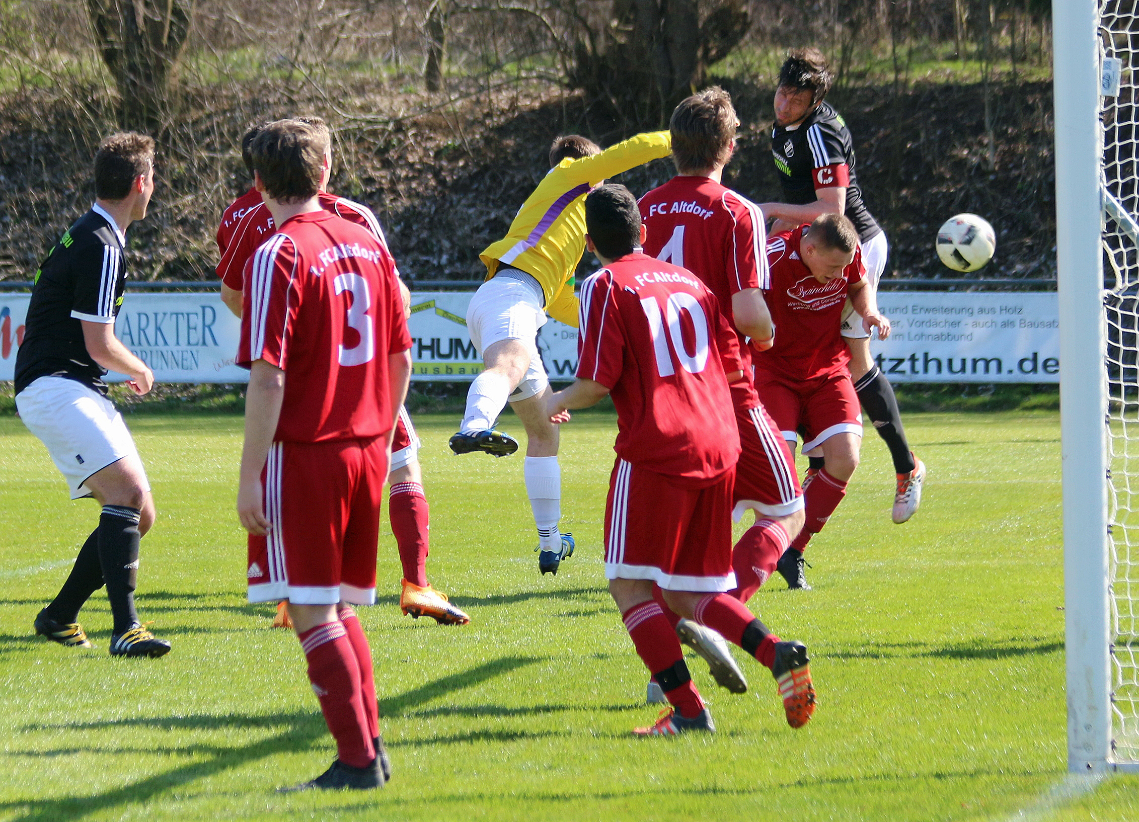 TSV Feucht gelingt die Generalprobe - N-LAND