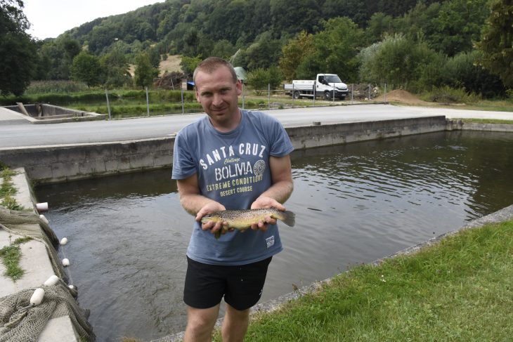 Frühstück statt Mittagessen für Forellen - N-LAND