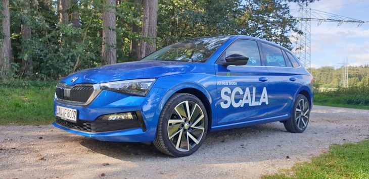 Feser Lauf Skoda